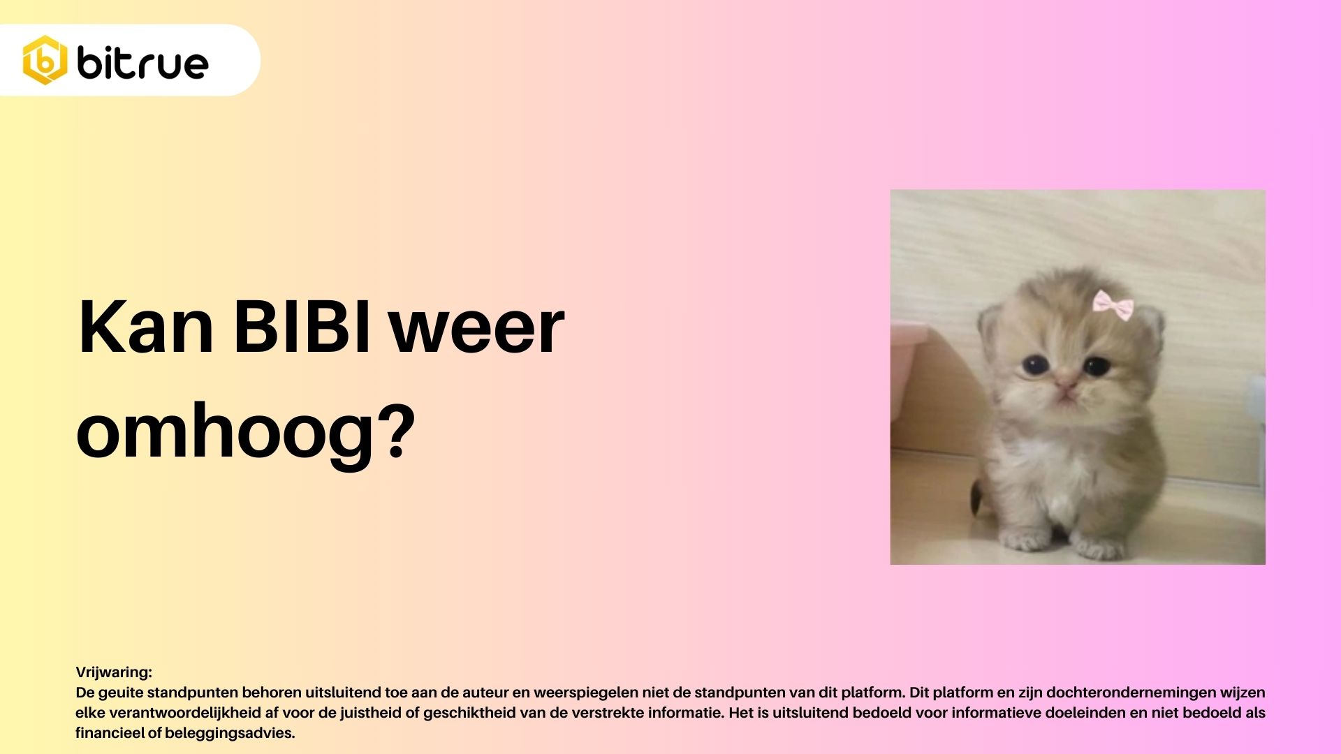 Kan BIBI weer omhoog gaan? Kijkend naar de nieuwe Cat-Themed Meme Token ...