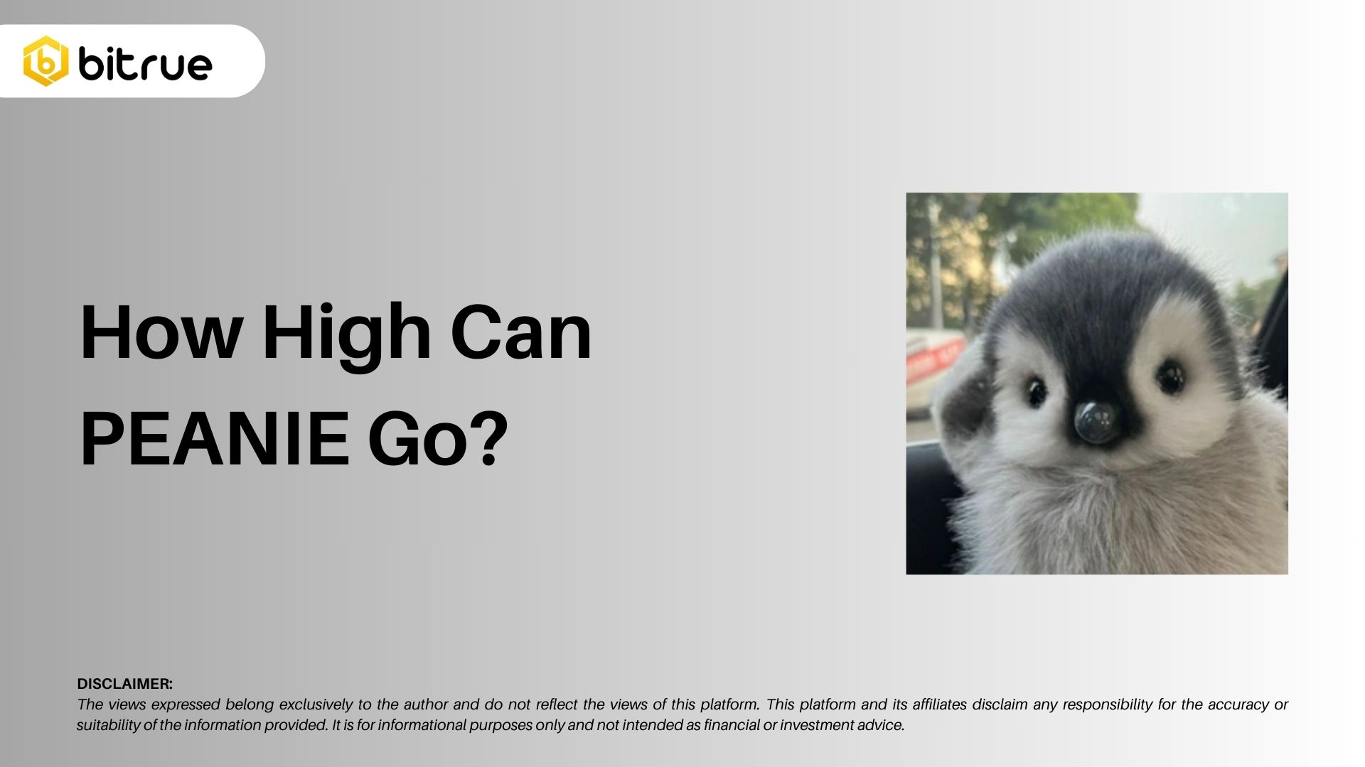 How High Can PEANIE Go? Looking at the New Penguin-Themed Meme Token ...