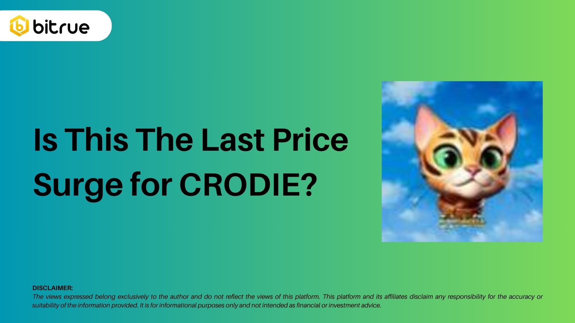 Is This the Final Surge for CRODIE? – Bitrue FAQ