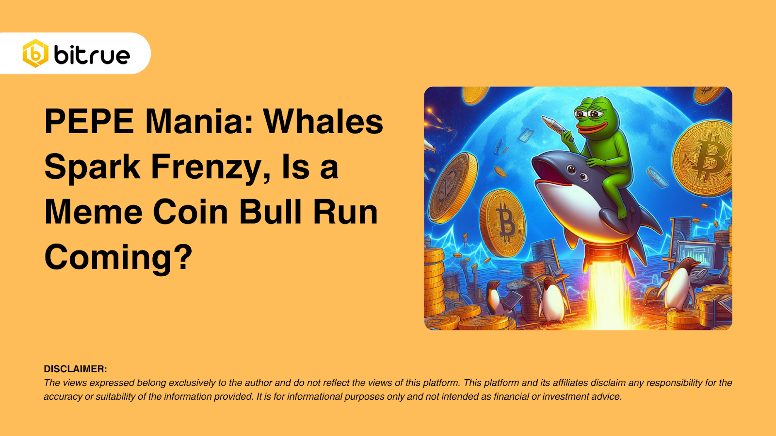 PEPE Mania: Balinalar Çılgınlığı Ateşliyor, Meme Coin Boğa Koşusu ...