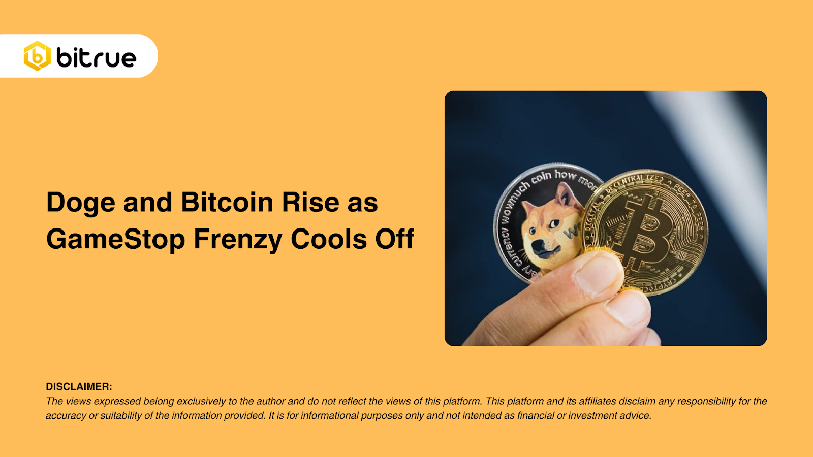 Doge and Bitcoin Rise as GameStop Frenzy Cools Off – Bitrue FAQ