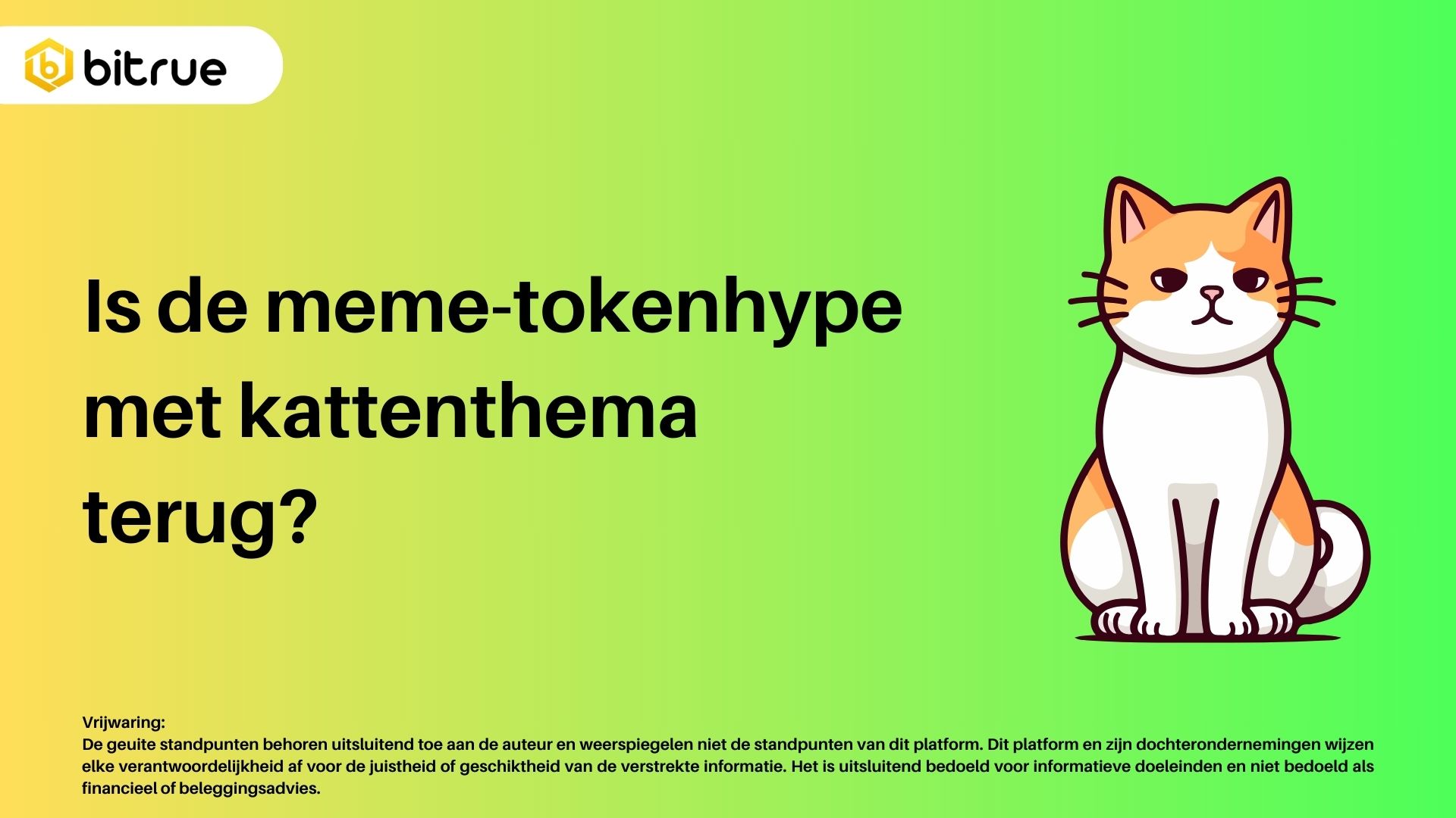 Is de hype rond cat-themed meme tokens terug? – Bitrue FAQ