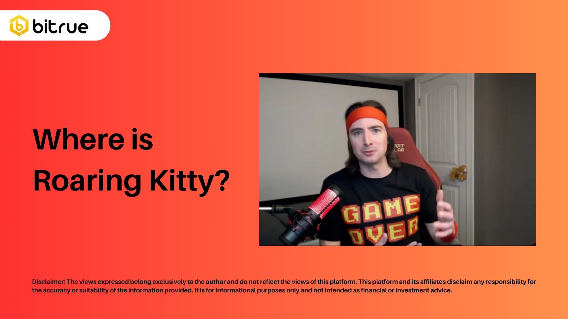Where is Roaring Kitty?: Looking at the Fading Hype – Bitrue FAQ