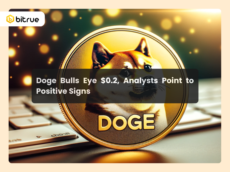 Doge Bulls Eye $0.2, Analysts Point to Positive Signs – Bitrue FAQ