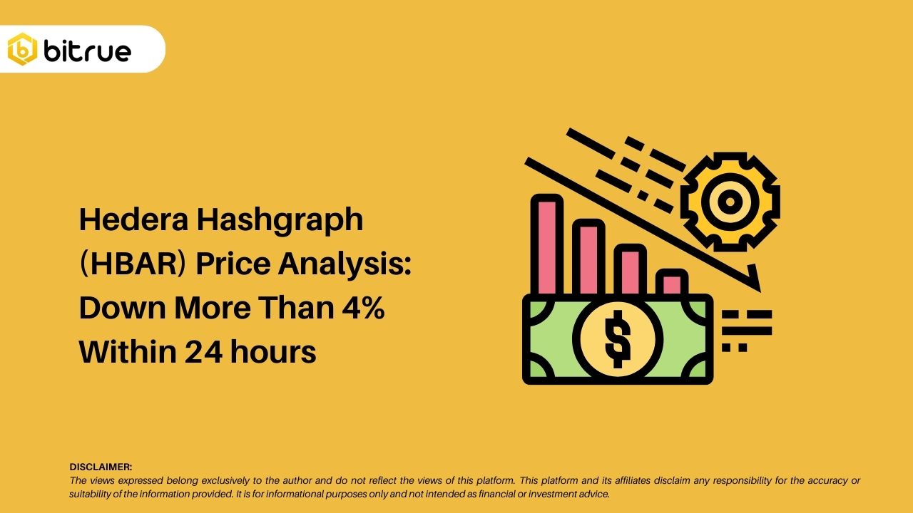 Hedera Hashgraph (HBAR) Fiyat Analizi: 24 saat içinde %4'ten Fazla ...