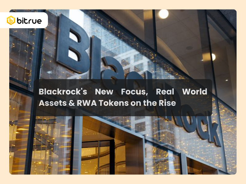 Blackrock's New Focus, Real World Assets & RWA Tokens on the Rise ...