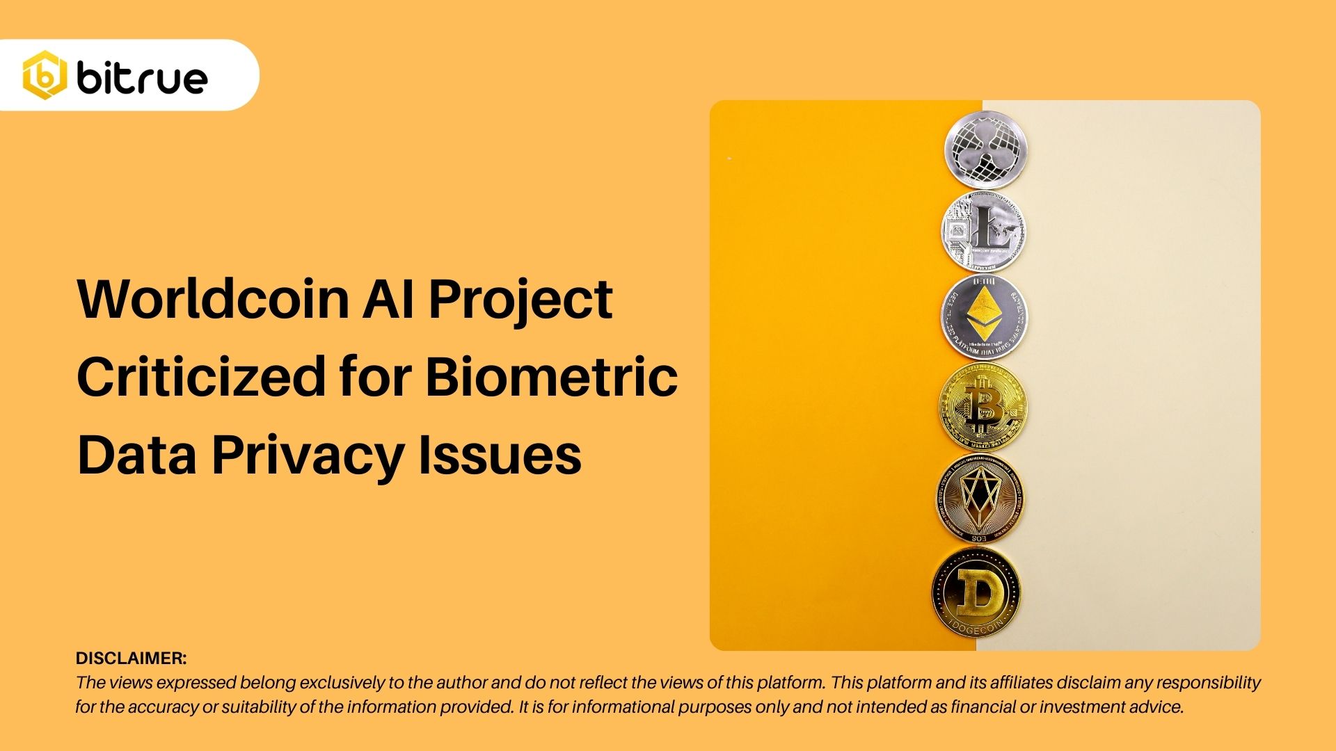 Worldcoin AI Project Criticized for Biometric Data Privacy Issues ...