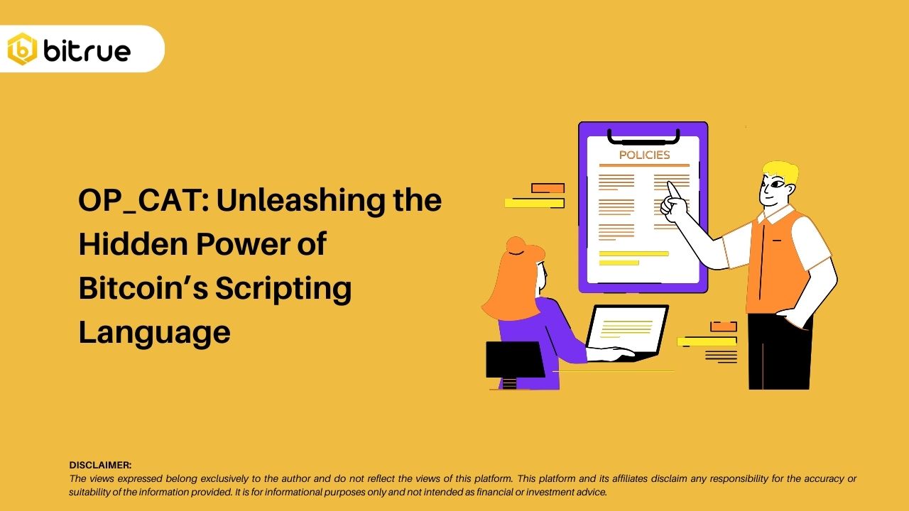 OP_CAT: 비트코인 스크립팅 언어의 숨겨진 힘 활용 – Bitrue FAQ