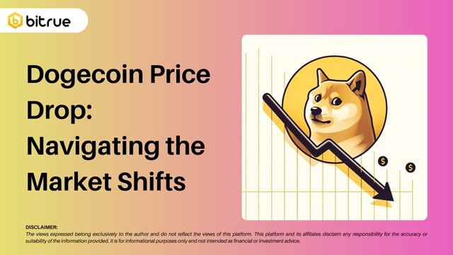 Dogecoin Price Drop: Navigating the Market Shifts – Bitrue FAQ