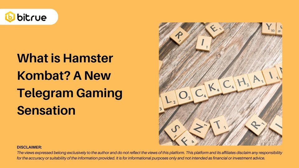 What is Hamster Kombat? A New Telegram Gaming Sensation – Bitrue FAQ