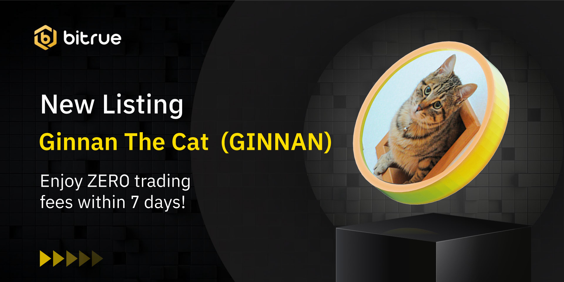 Bitrue Will List Ginnan The Cat (GINNAN) – Bitrue FAQ