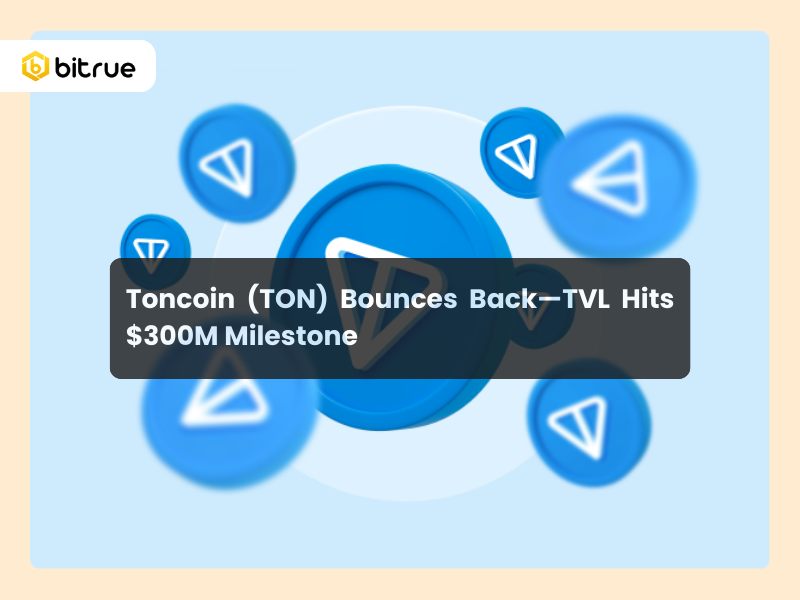 톤코인(TON) 반등 - TVL $300M 돌파 – Bitrue FAQ