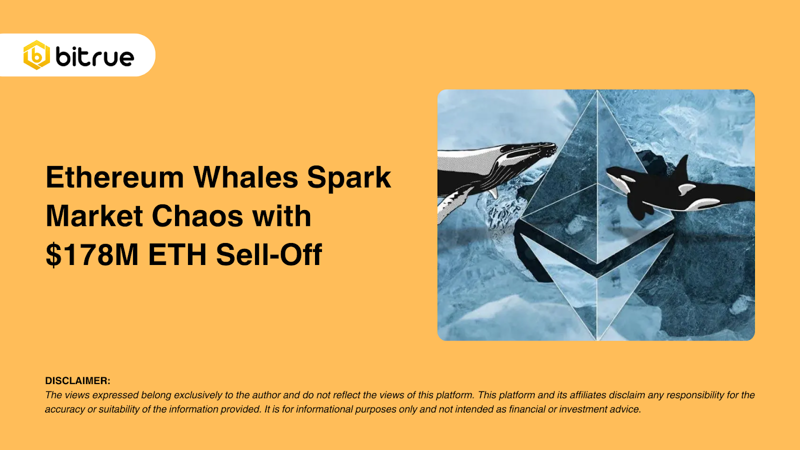Ethereum Whales, $178M ETH 매도로 시장 혼란 촉발 – Bitrue FAQ