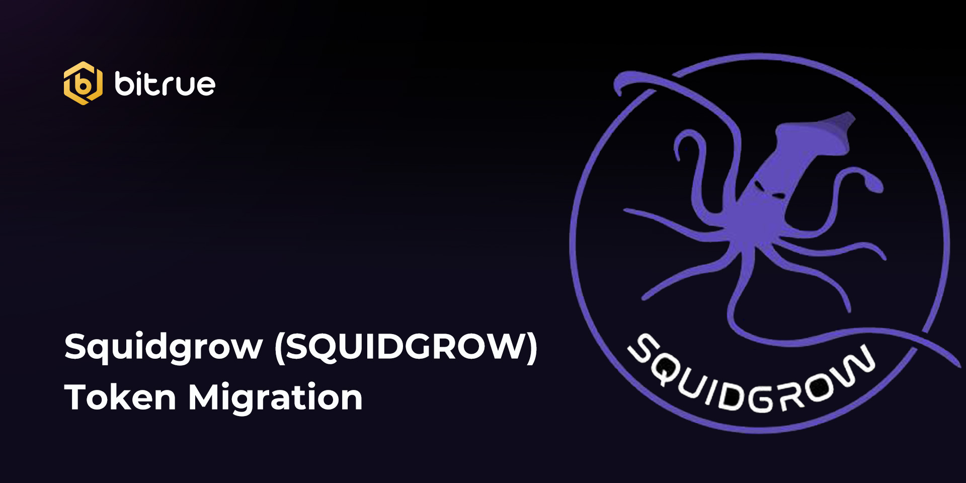 Bitrue Will Support the Squidgrow (SQUIDGROW) Token Swap to Squidgrow (SQGROW) – Bitrue FAQ
