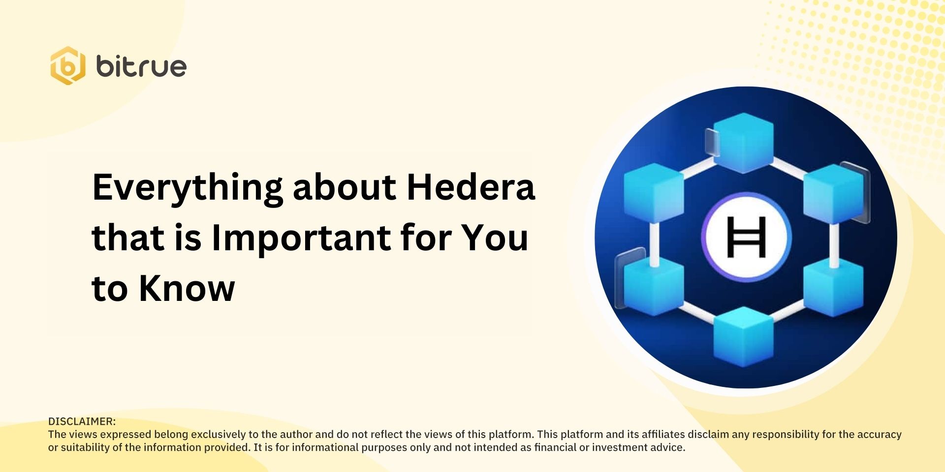 Everything about Hedera that is Important for You to Know – Bitrue FAQ