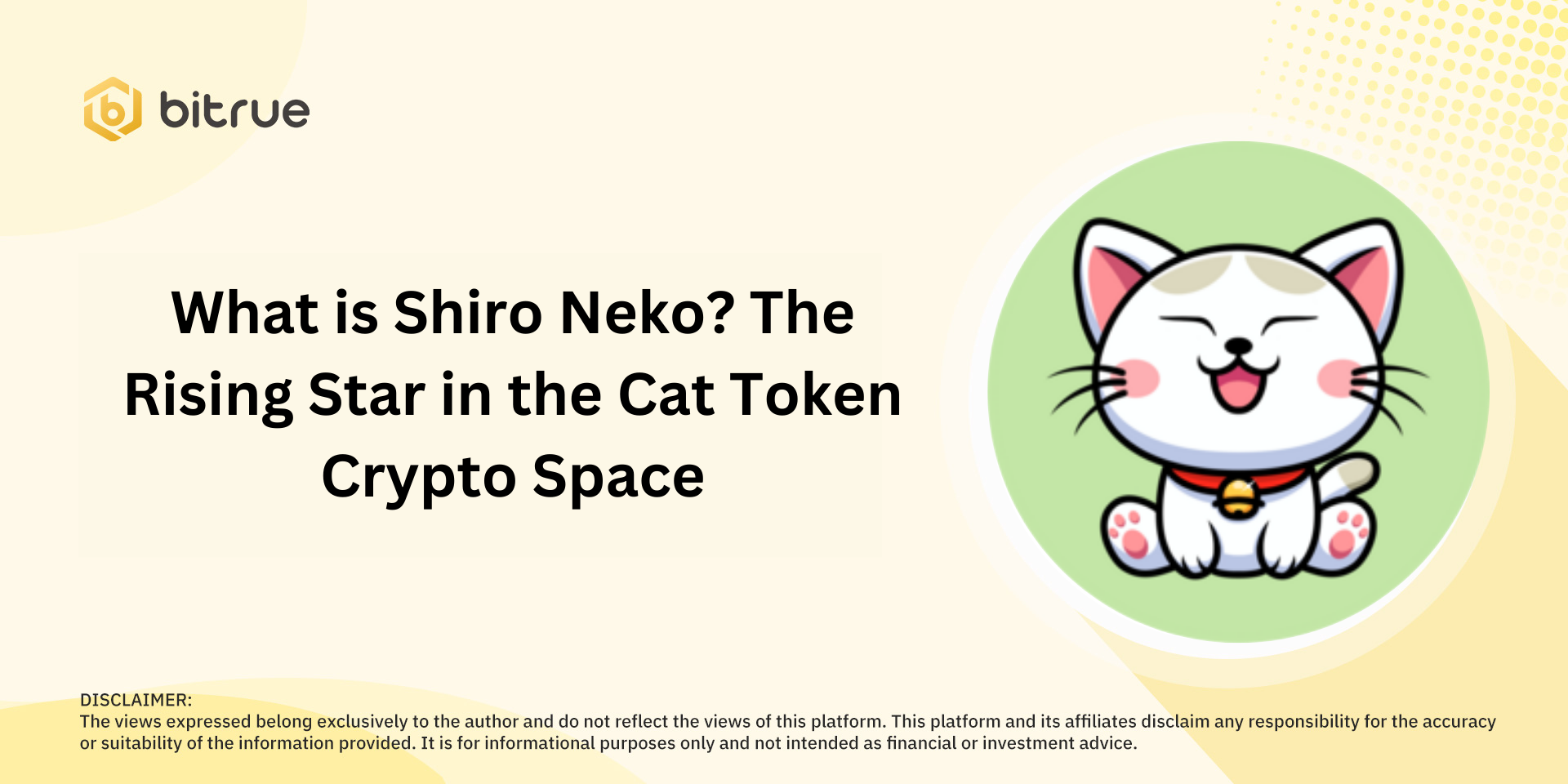 What is Shiro Neko? The Rising Star in the Cat Token Crypto Space ...