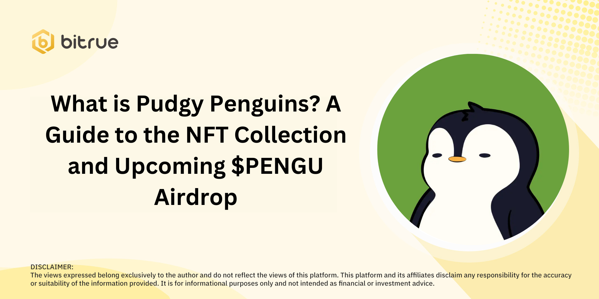 What is Pudgy Penguins? A Guide to the NFT Collection and Upcoming $PENGU Airdrop – Bitrue FAQ