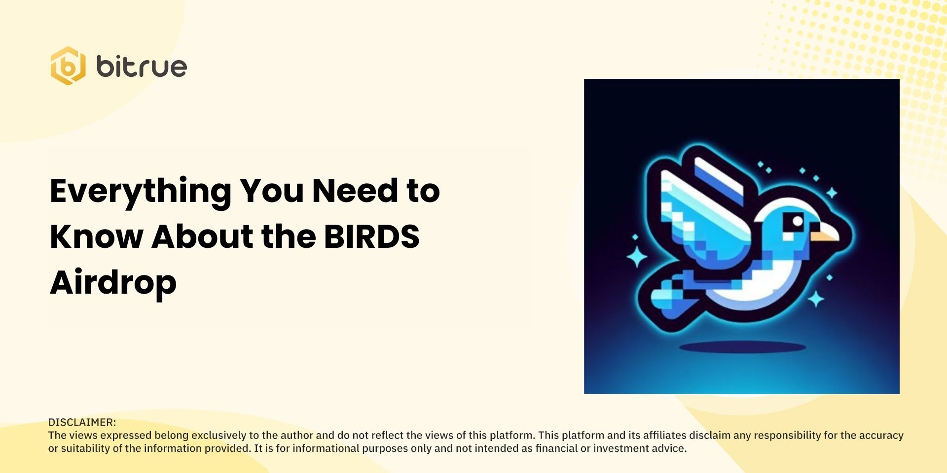 Everything You Need to Know About the BIRDS Airdrop – Bitrue FAQ
