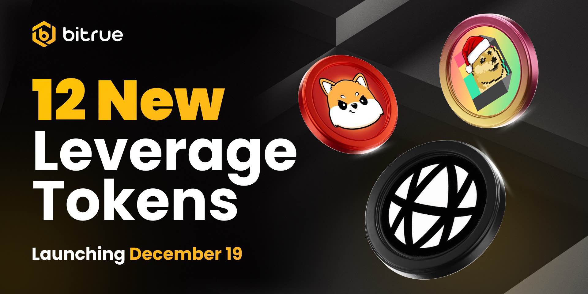 12 New Leverage Tokens Launching December 19th, 2024 – Bitrue FAQ