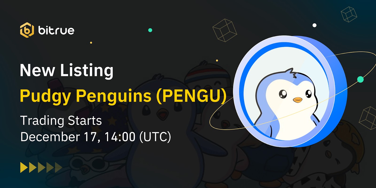 PENGU: The Future of Pudgy Penguins Ecosystem on Solana – Bitrue FAQ