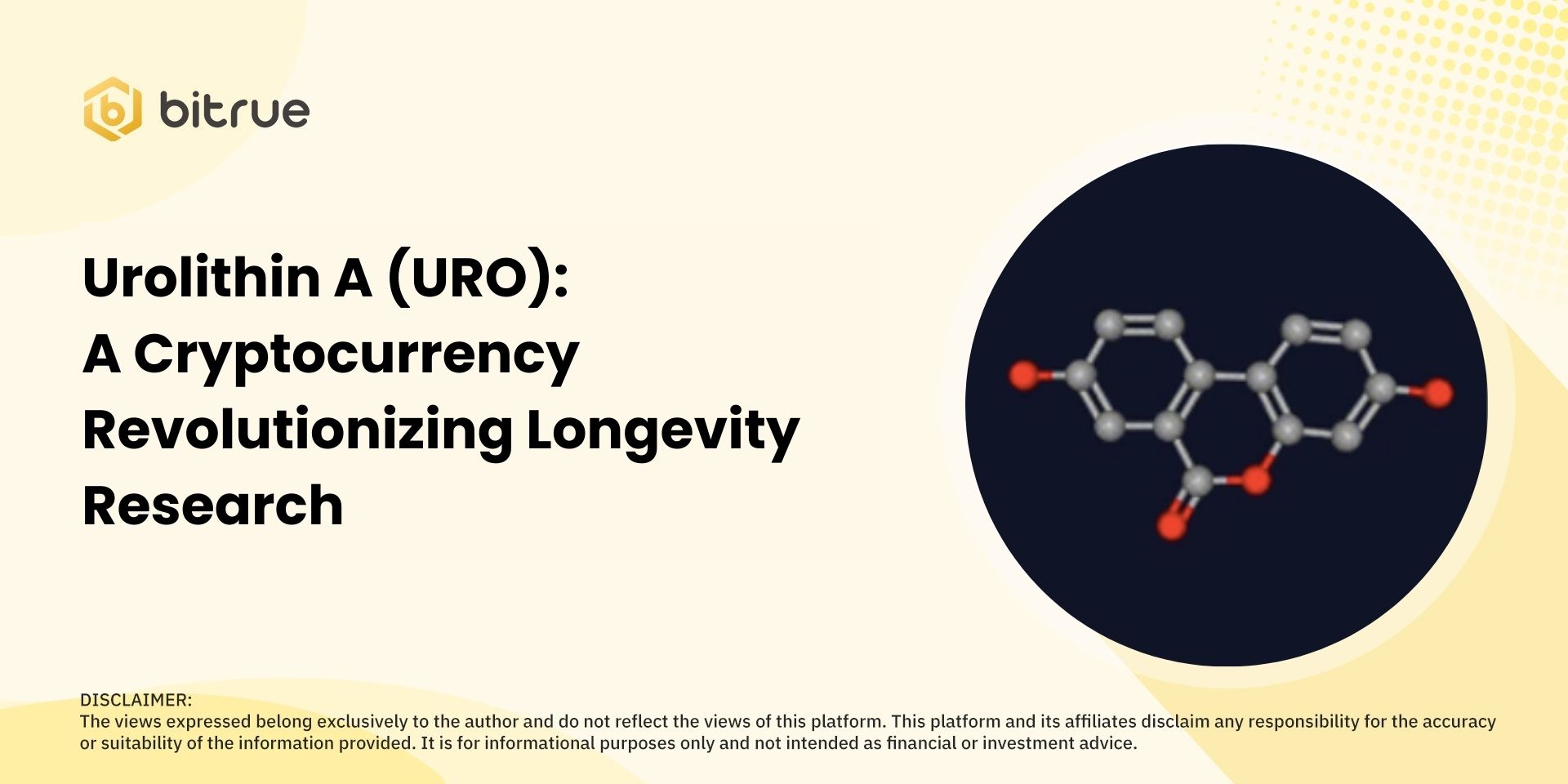 Urolithin A (URO): A Cryptocurrency Revolutionizing Longevity Research ...