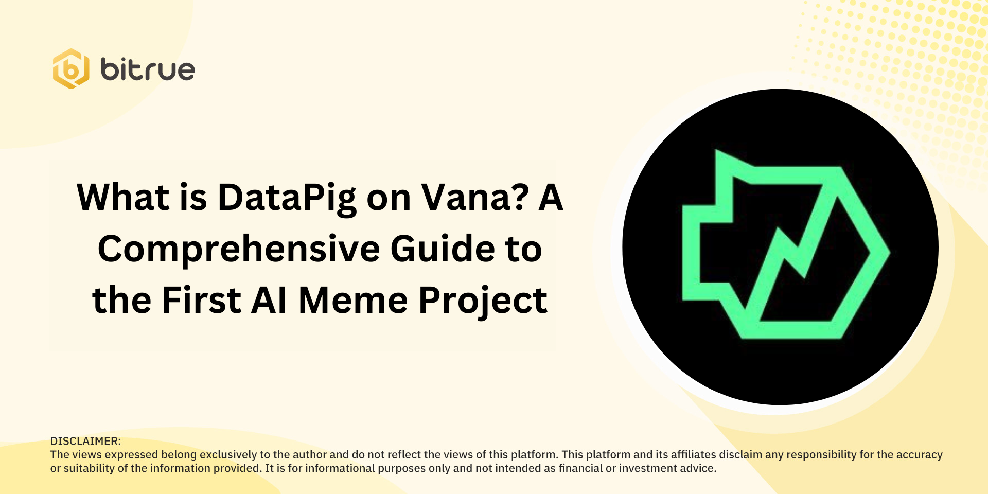 What is DataPig on Vana? A Comprehensive Guide to the First AI Meme ...