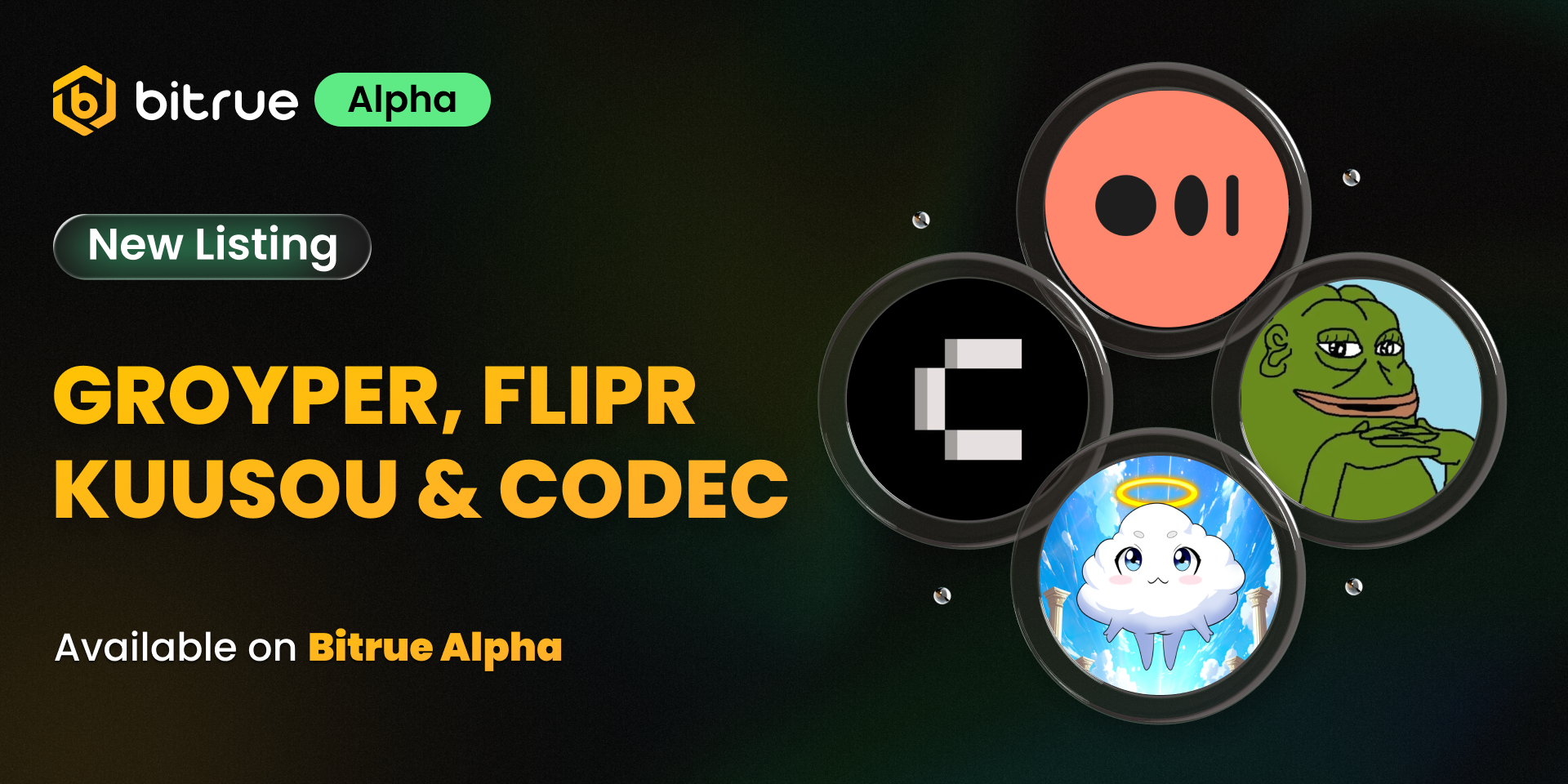 🚀 New Listing on Bitrue Alpha: GROYPER, FLIPR, KUUSOU, & CODEC – Bitrue FAQ