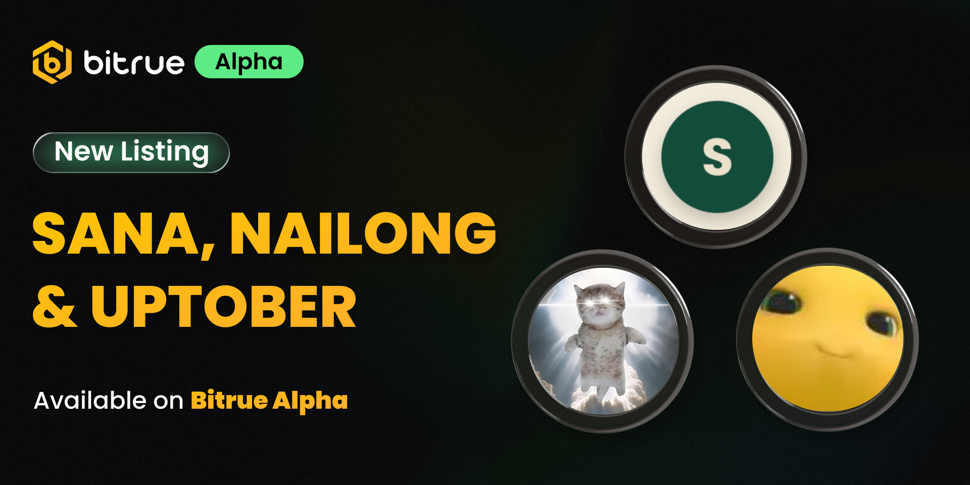 🚀 New Listing on Bitrue Alpha: SANA, NAILONG & UPTOBER – Bitrue FAQ